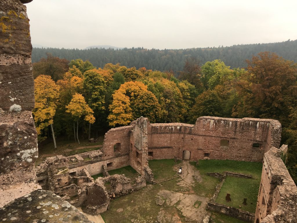 Château de Wangenbourg (Bas-Rhin) : Visite, adresse et avis